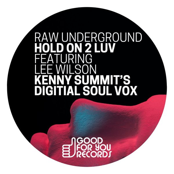 Hold On 2 Luv (Kenny Summit's Digital Soul Vox) on Traxsource