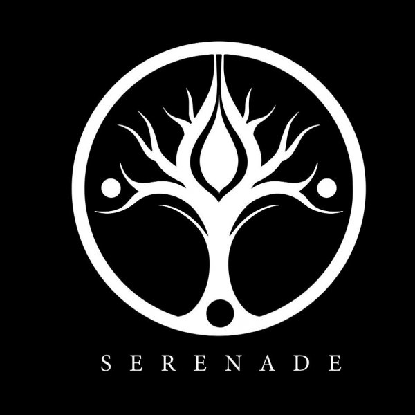 SERENADE MUSIC Tracks & Releases on Traxsource